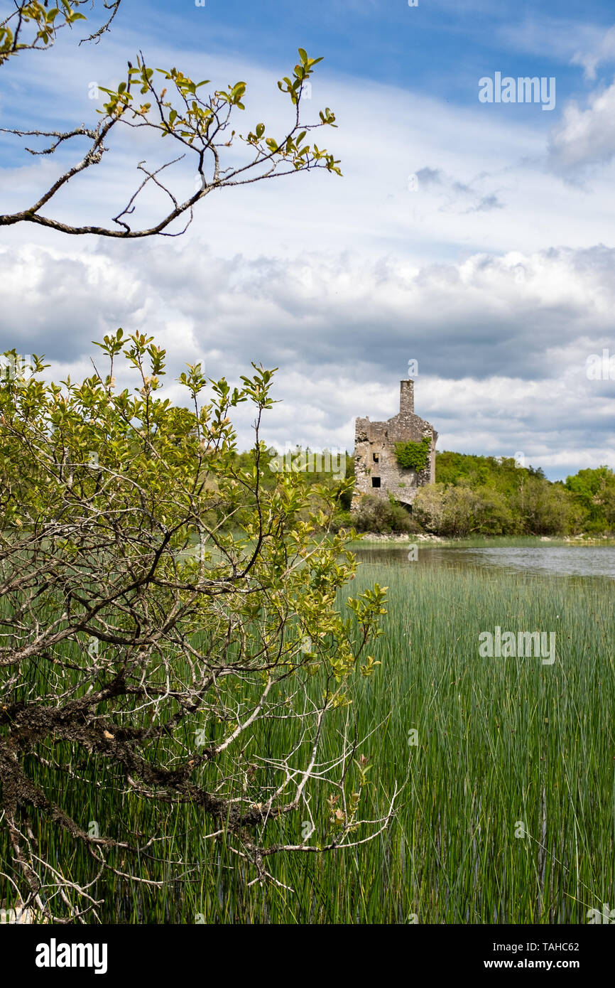 Dromore wood hi-res stock photography and images - Alamy