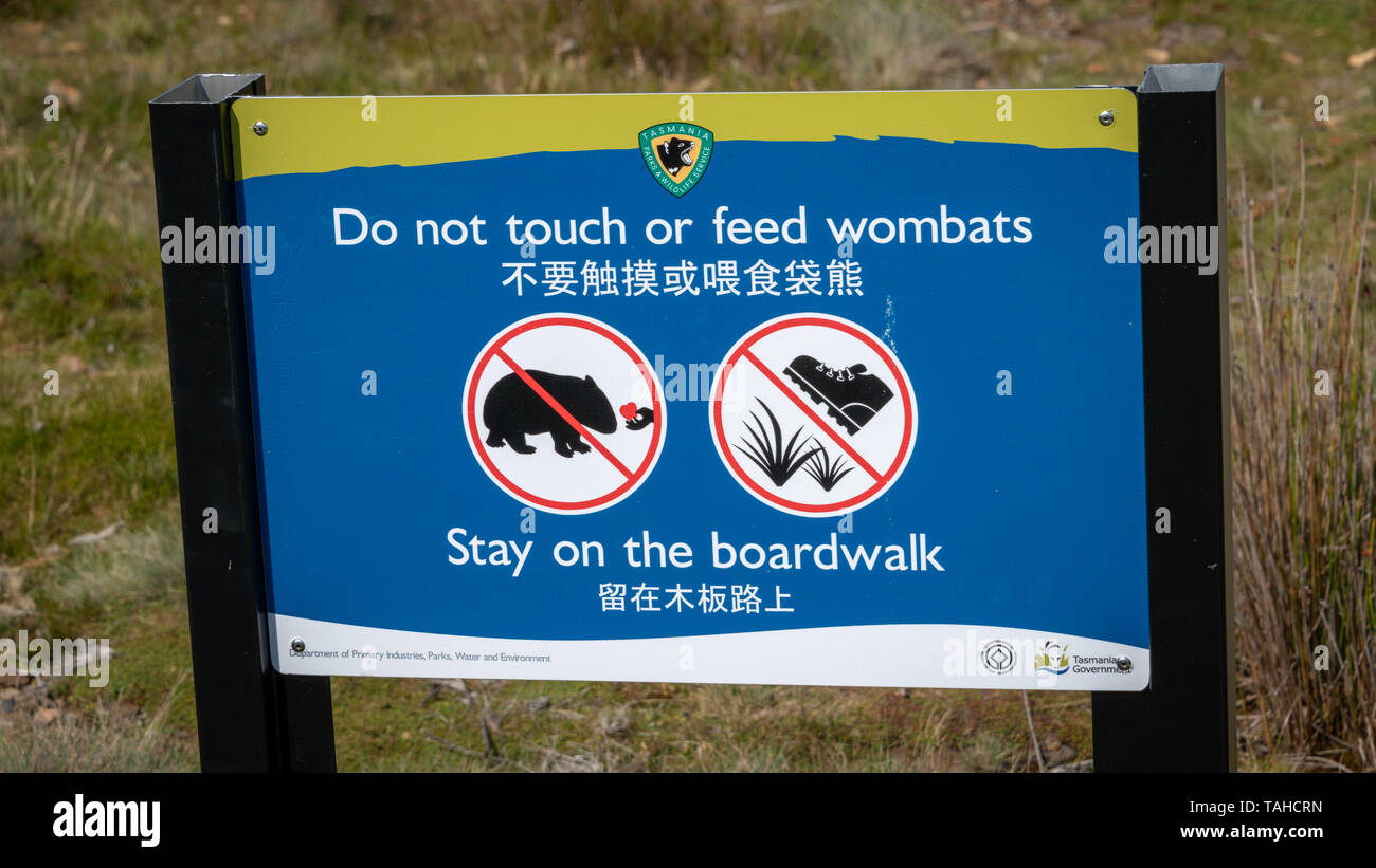 Do Not Feed the Wombats Sign Stock Photo - Alamy