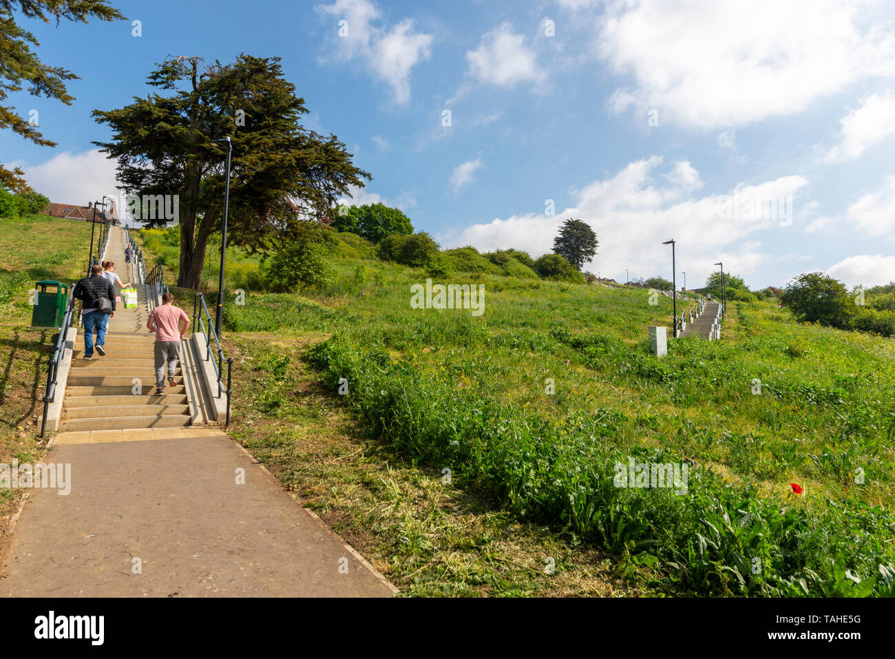New steps hi-res stock photography and images - Alamy