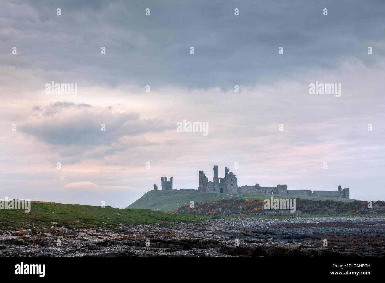 Dunstanburgh Castle, Craster, Northumberland, England, UK, Europe Stock ...