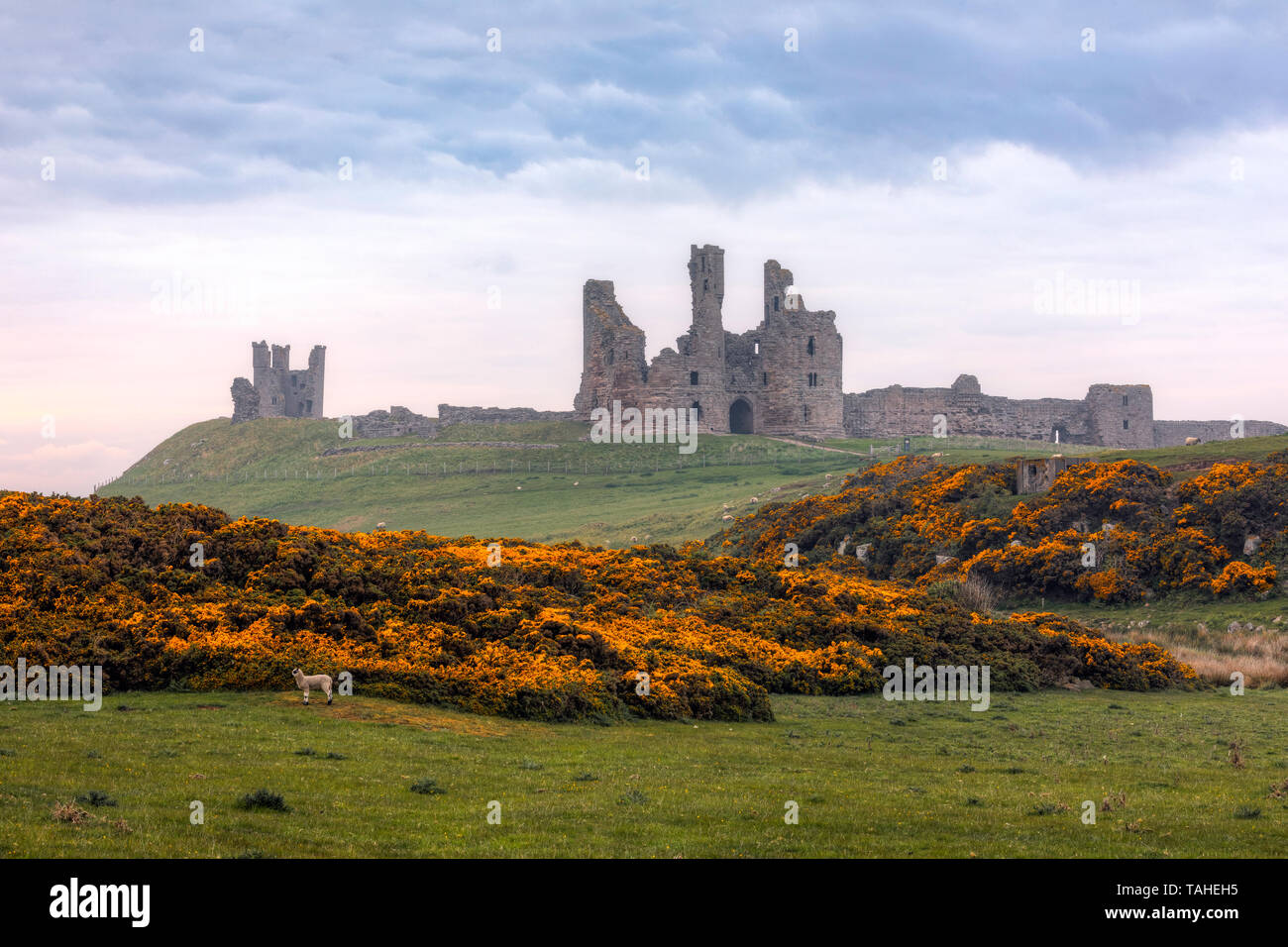 Dunstanburgh Castle, Craster, Northumberland, England, UK, Europe Stock ...