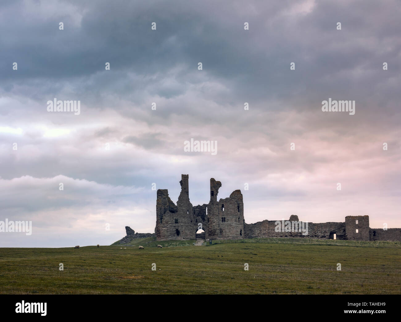 Dunstanburgh Castle, Craster, Northumberland, England, UK, Europe Stock ...