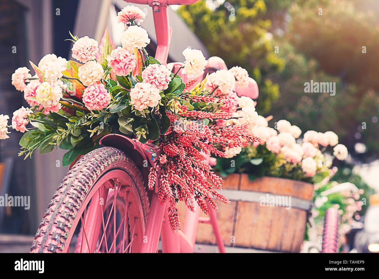 Tricycle in flower garden hi-res stock photography and images - Alamy