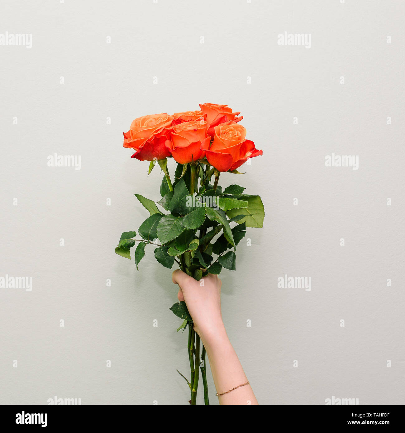 Five roses hi-res stock photography and images - Alamy