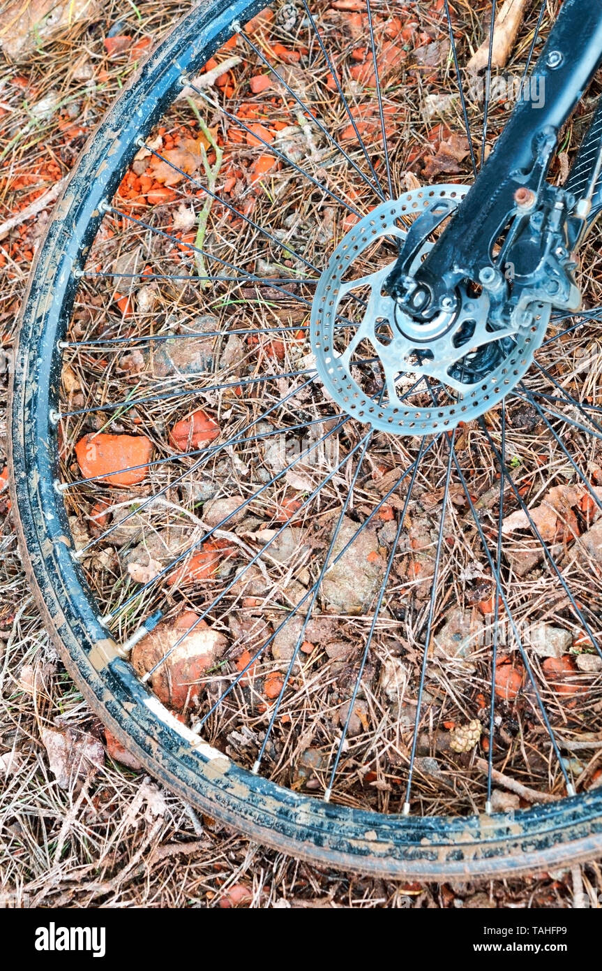 Bicycle wheel disc brake hi-res stock photography and images - Alamy