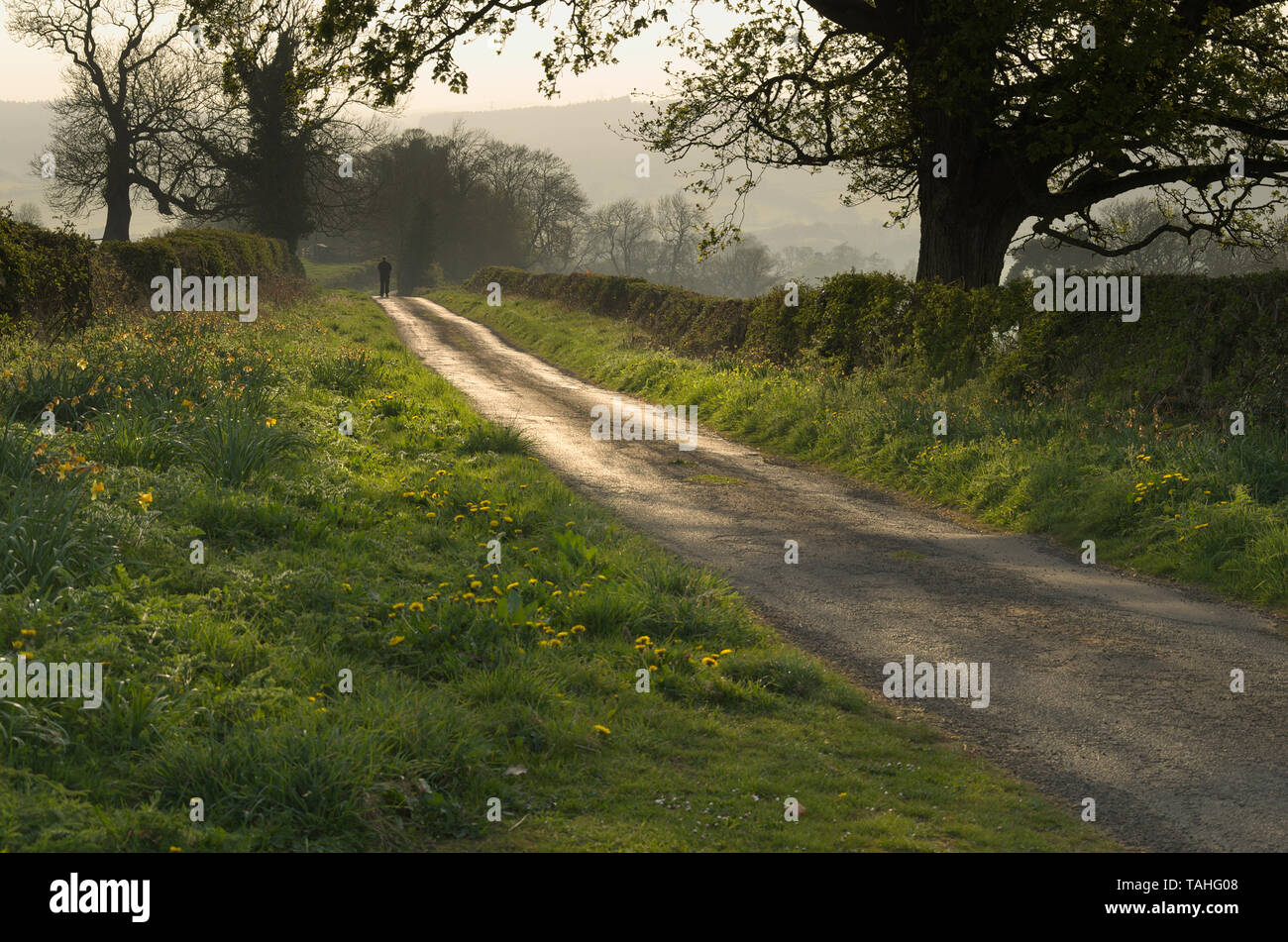 Sunset hexham hi-res stock photography and images - Alamy