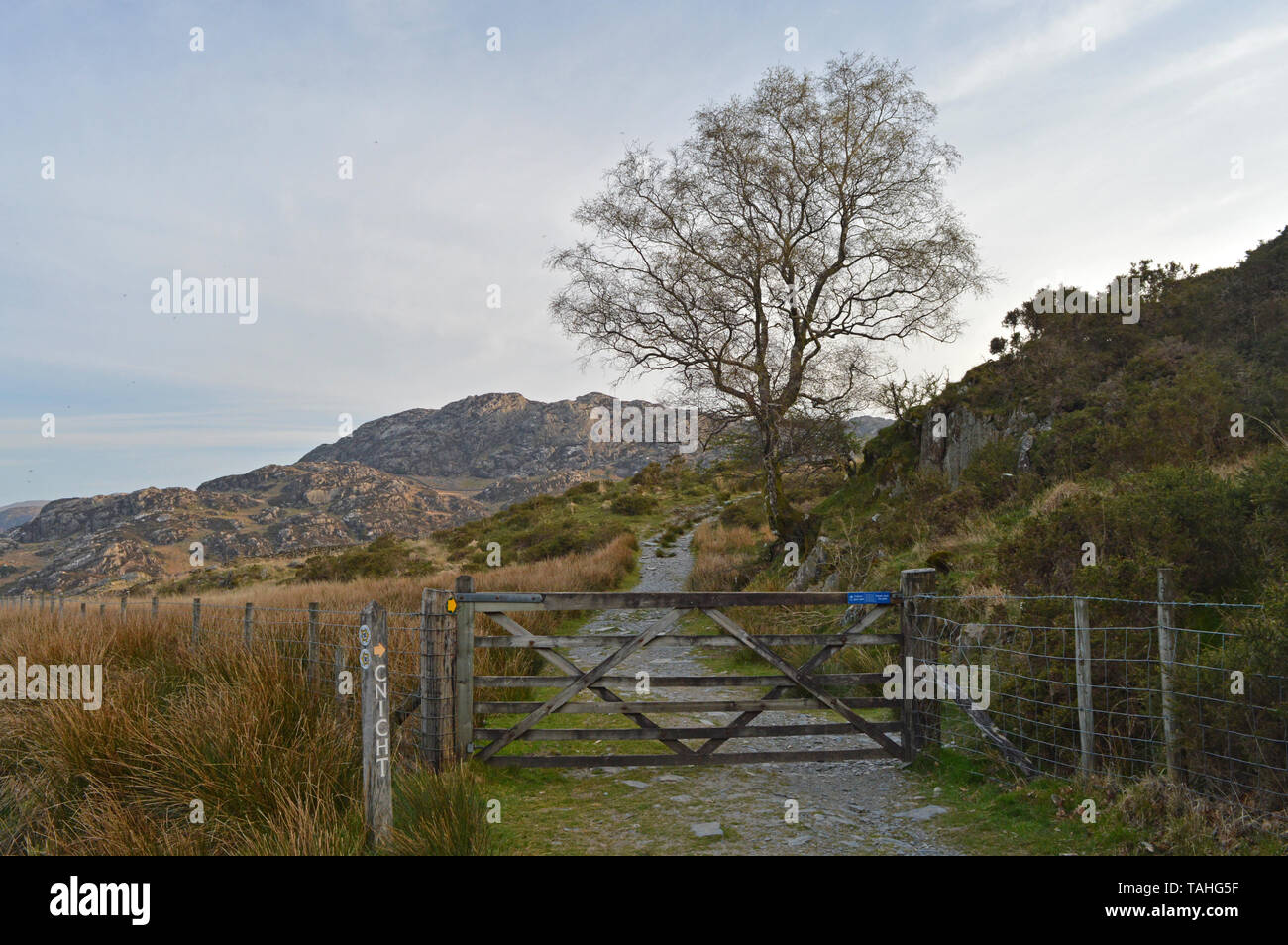 Cnicht mountain path hi-res stock photography and images - Alamy