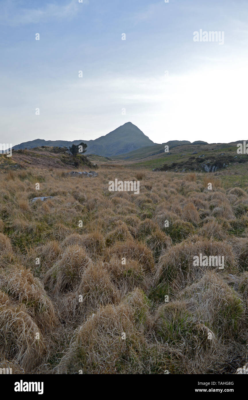 Slopes of cnicht hi-res stock photography and images - Alamy