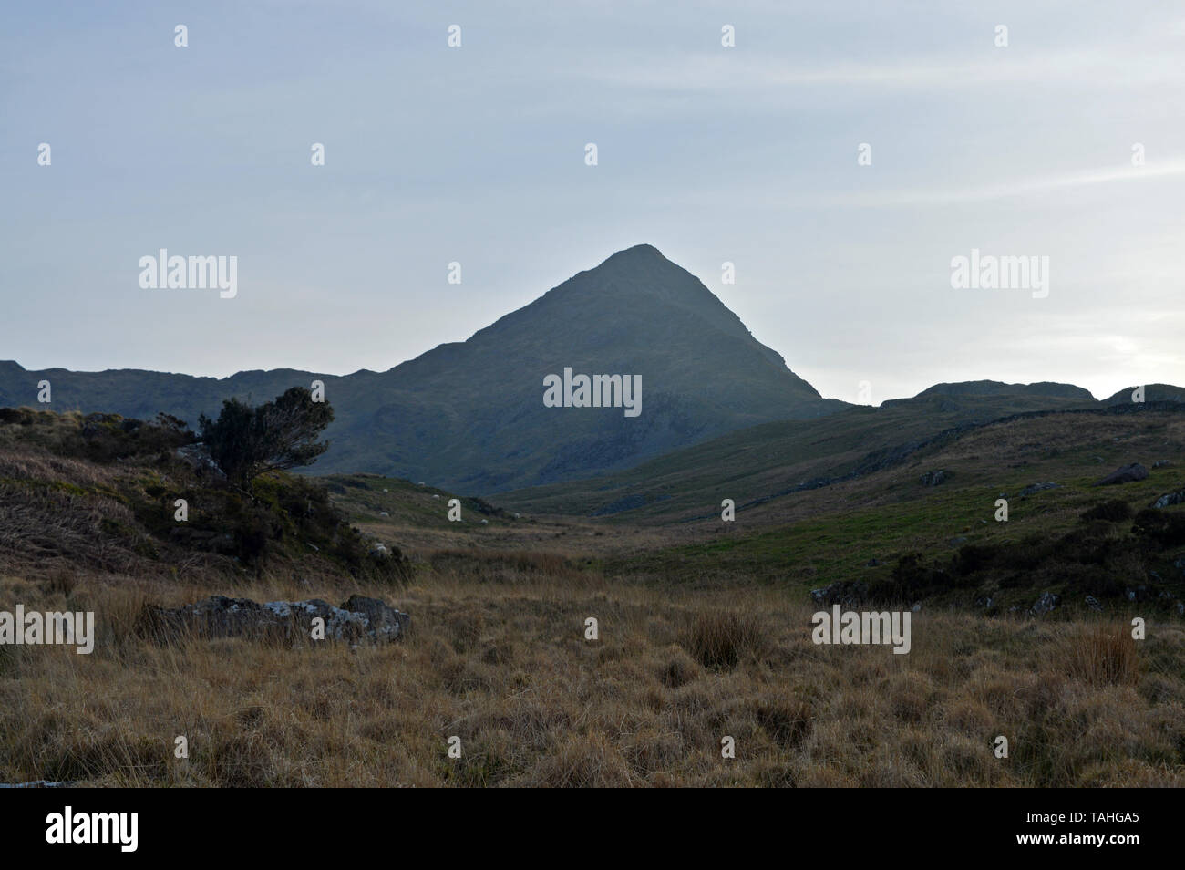 Cnicht mountain path hi-res stock photography and images - Alamy