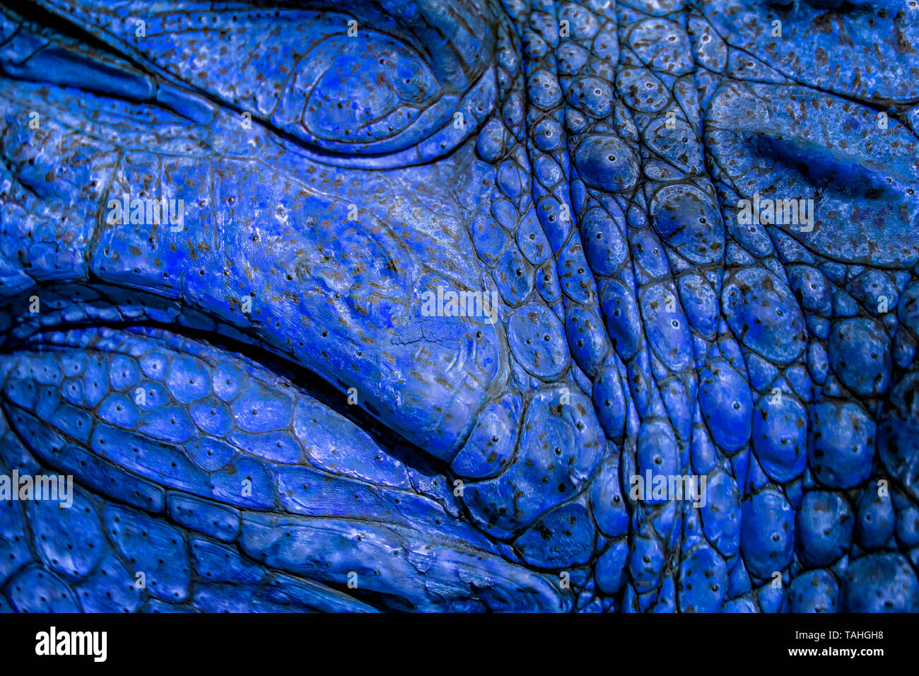 T wildlife hide hi-res stock photography and images - Alamy