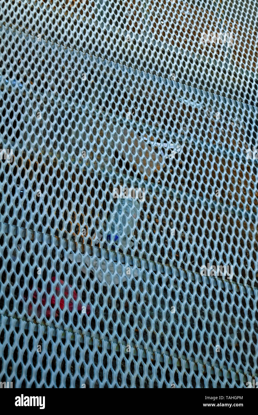 Steel punched metal sheet. Abstract metal perforated background Stock ...