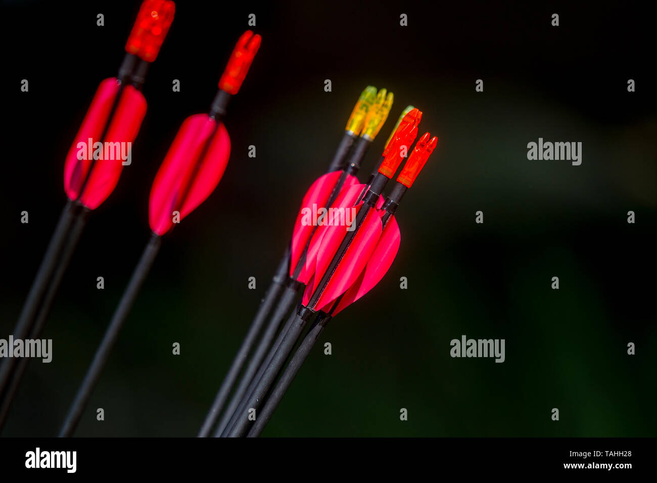 archery arrows on a black background Stock Photo - Alamy