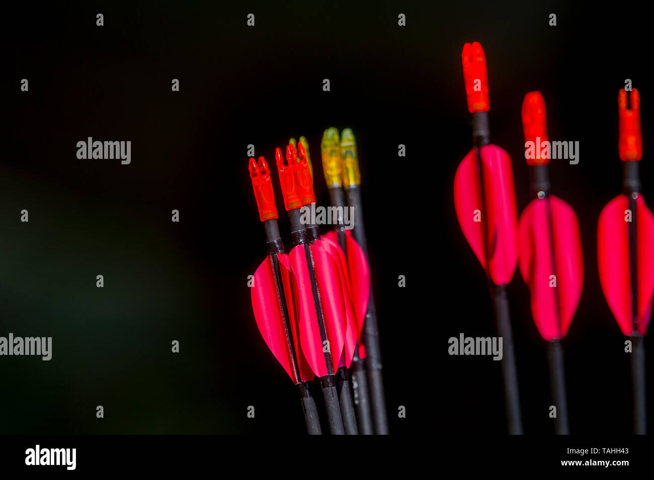 archery arrows on a black background Stock Photo - Alamy