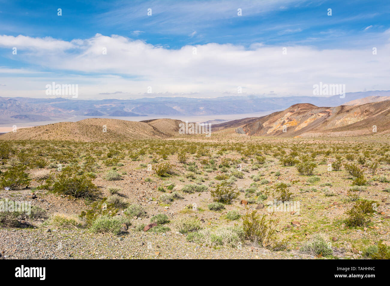 Panamin hi-res stock photography and images - Alamy