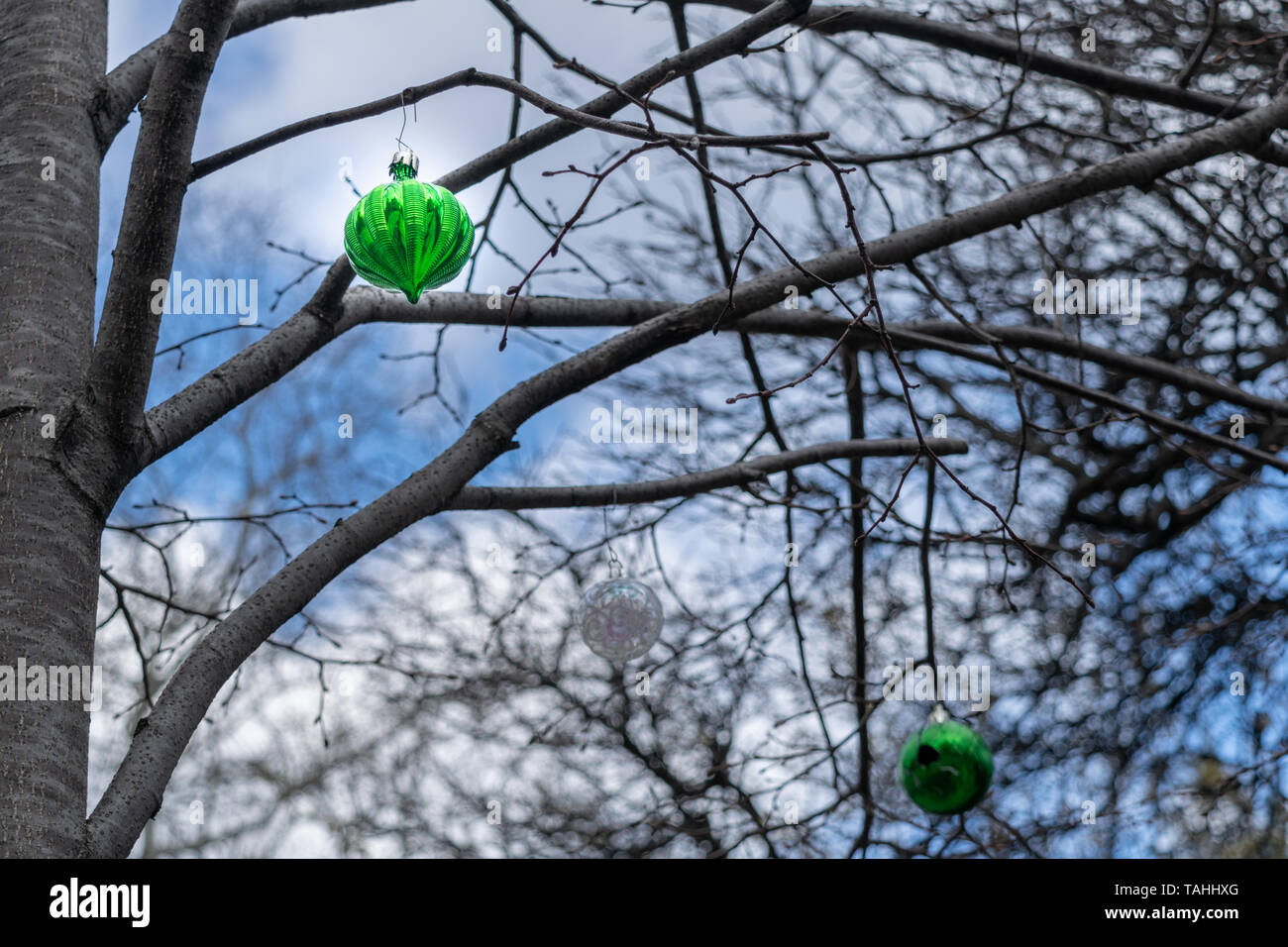 Three rather sad looking Christmas tree ornaments, hanging from the ...