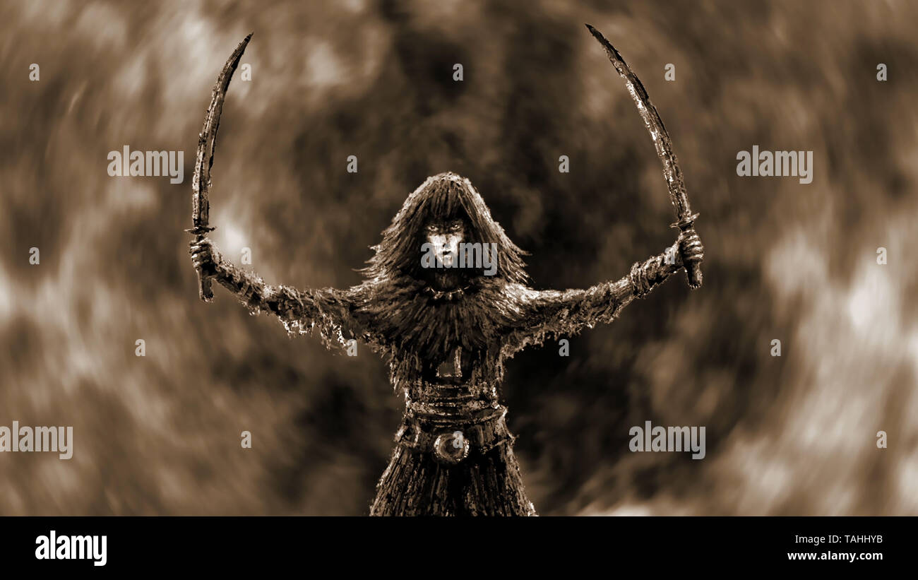 Warrior girl with two raised sabers. Fantasy monochrome illustration ...
