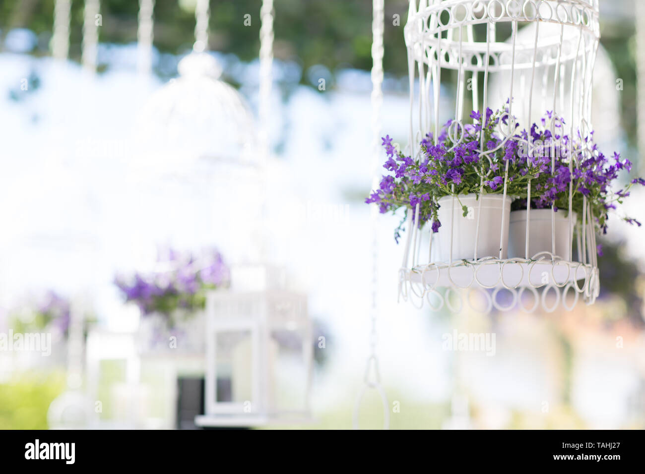 Wedding decor with lilac flowers and white cages Stock Photo - Alamy