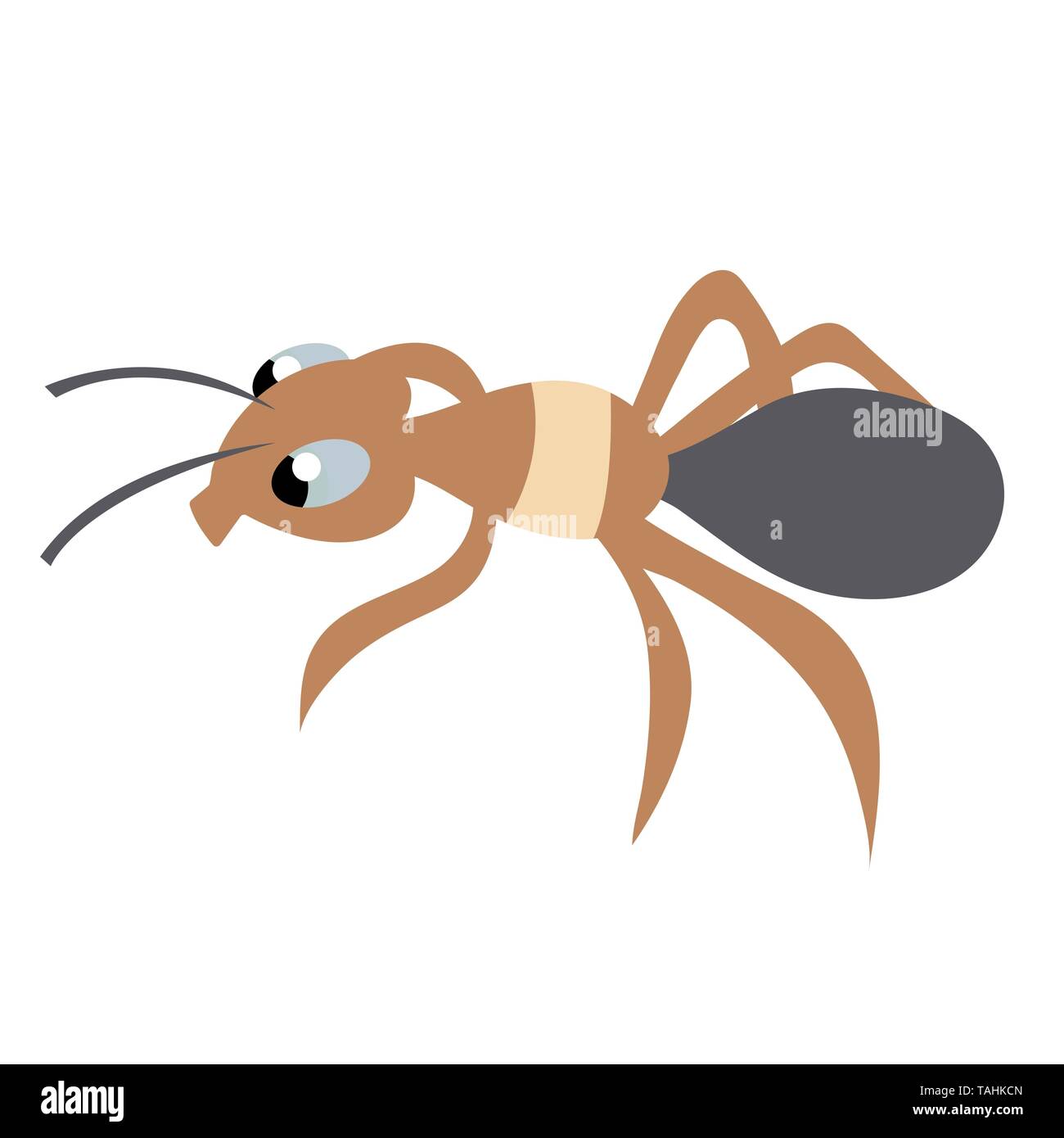 Vector ant hi-res stock photography and images - Alamy