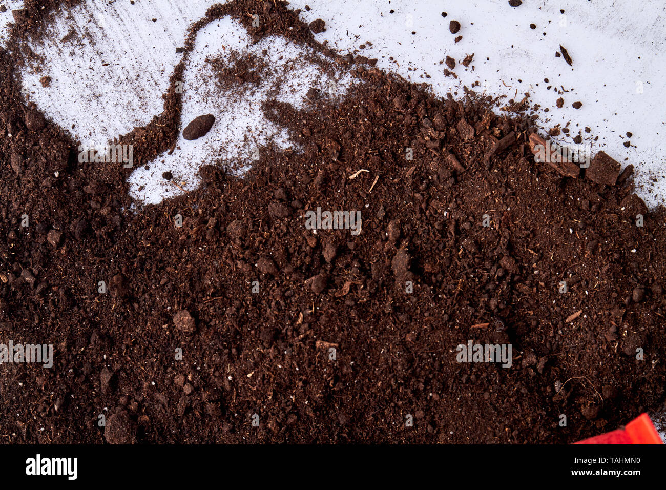 Dark soil on white background. Spilled potting soil on the floor ...