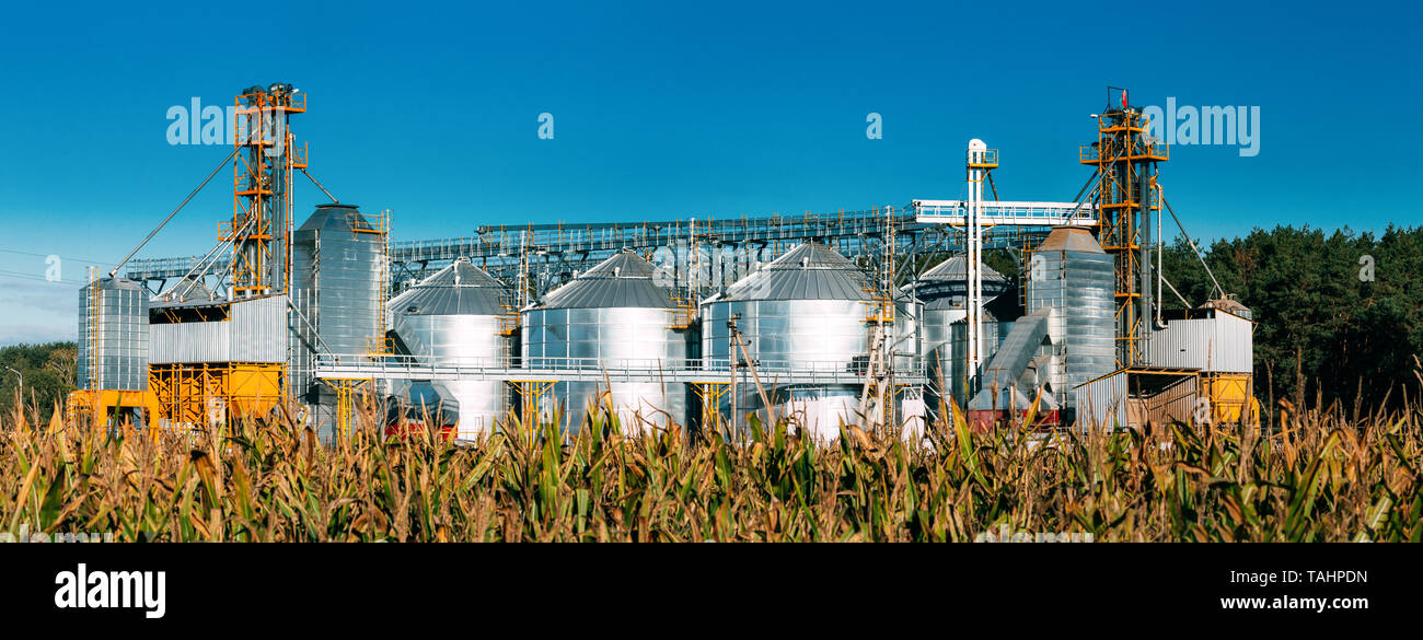 Seed storage container hi-res stock photography and images - Alamy