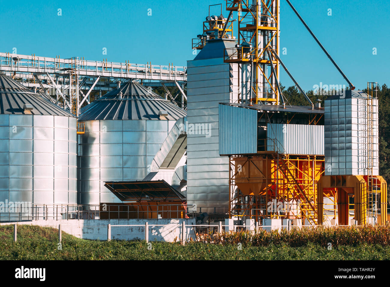 Modern Granary, Grain-drying Complex, Commercial Grain Or Seed Silos In ...