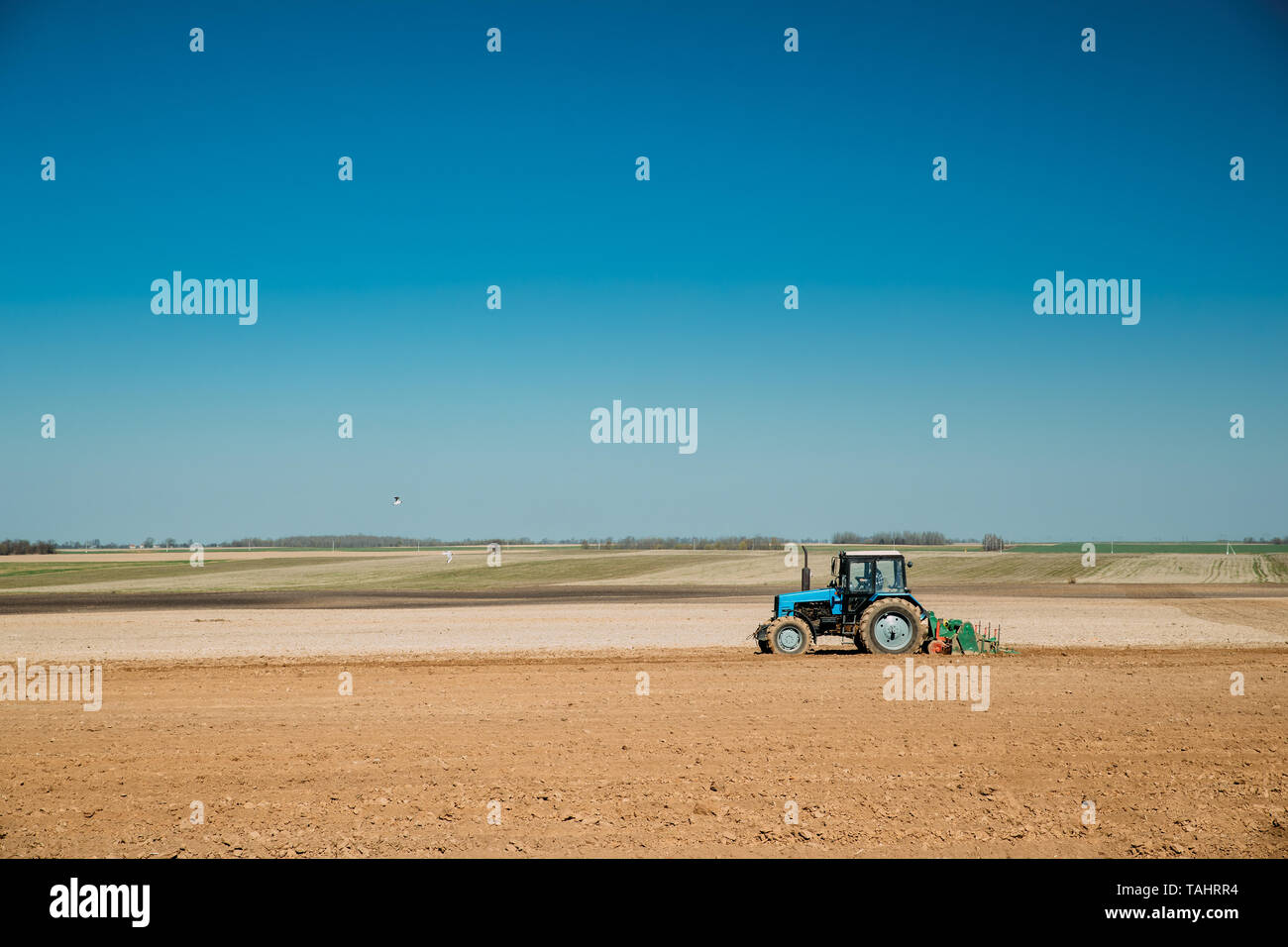 Tractor Plowing Field In Spring Season. Beginning Of Agricultural ...