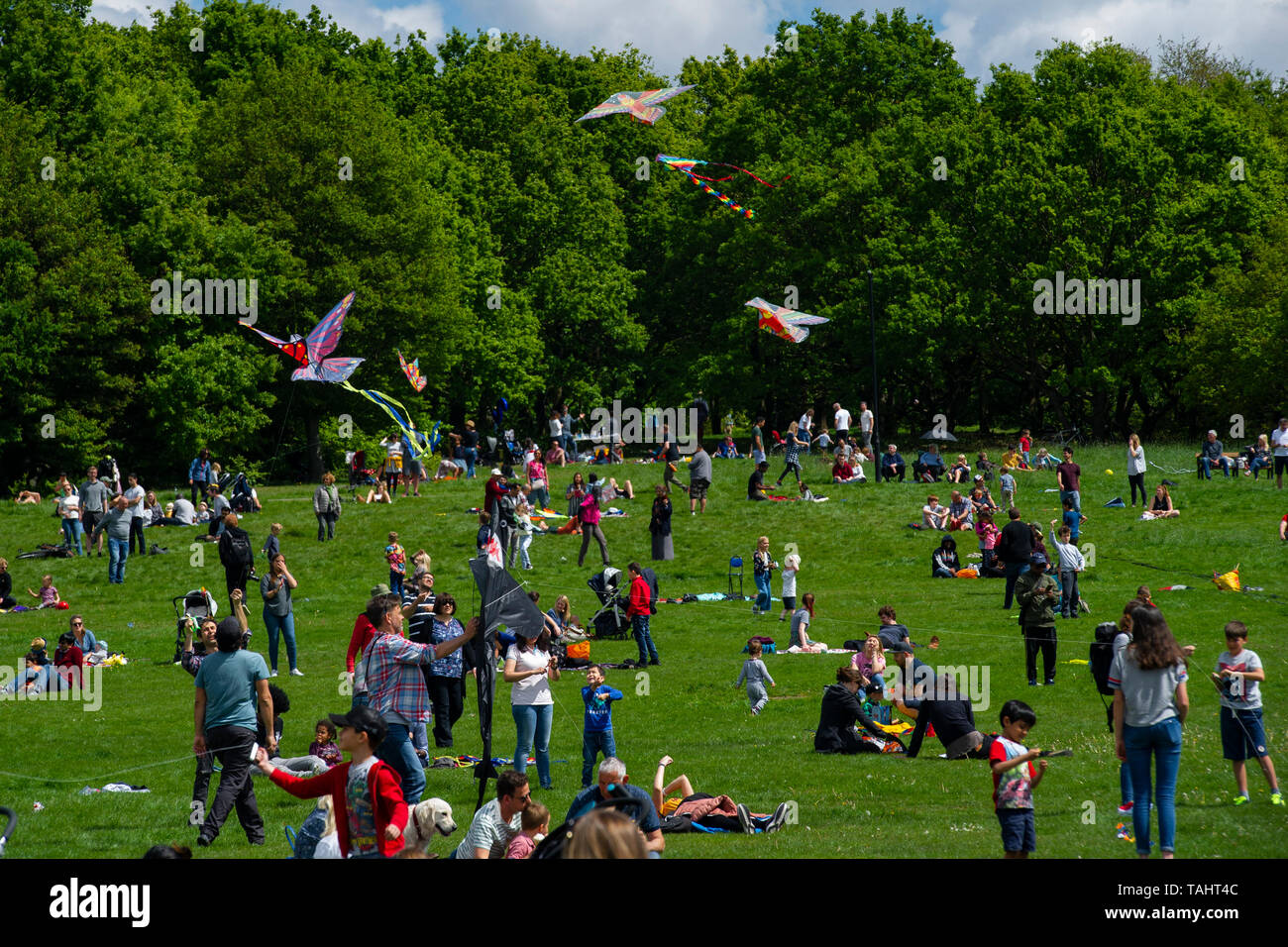 Kites at a kite festival - Streatham Common Kite Day in London Stock ...