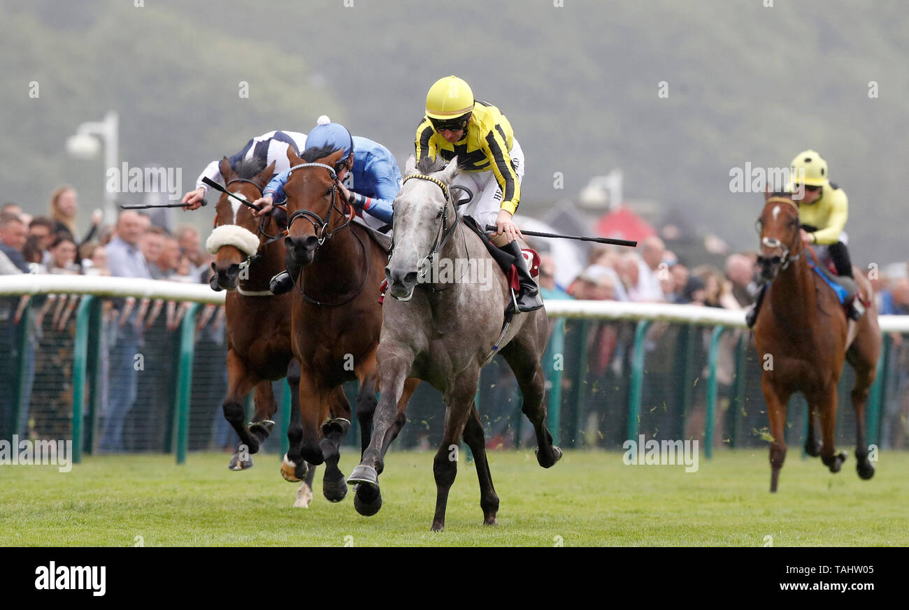 Ebf british stallion studs cecil frail hi-res stock photography and ...