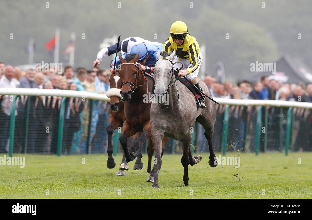 Ebf british stallion studs cecil frail hi-res stock photography and ...
