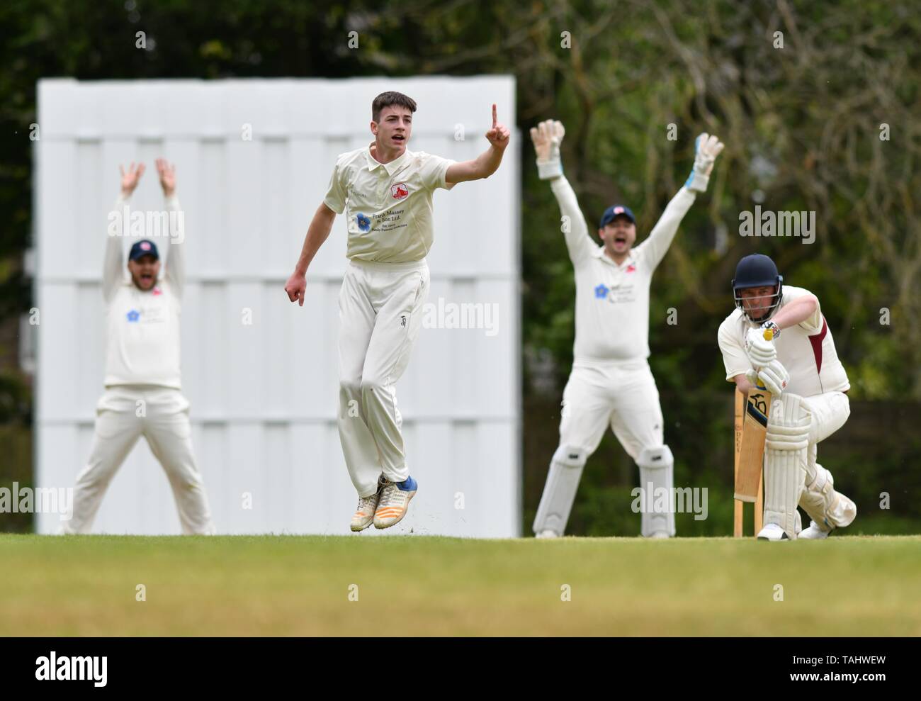 Cricket bowler appeal hi-res stock photography and images - Alamy
