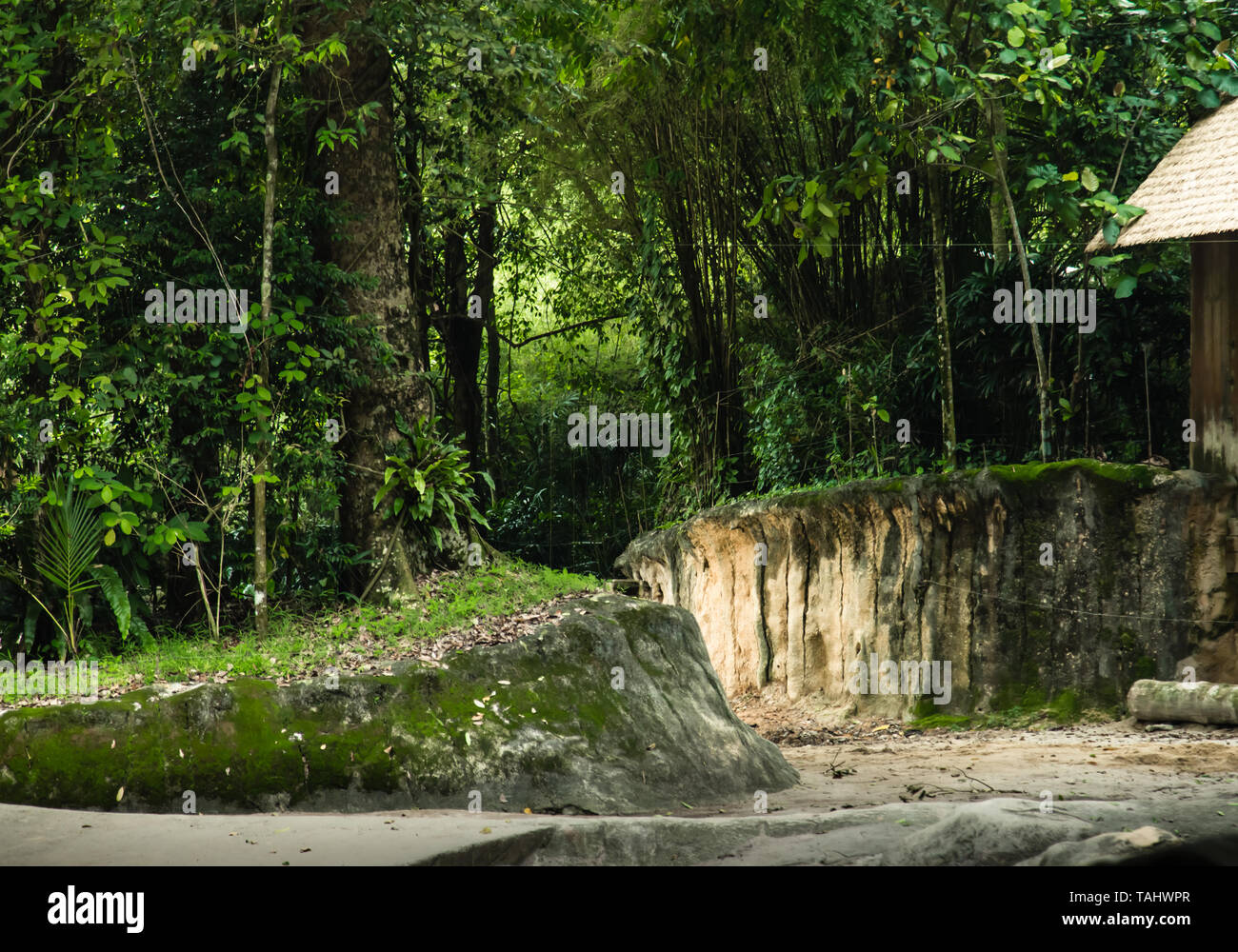 landscape small road in forest Stock Photo - Alamy