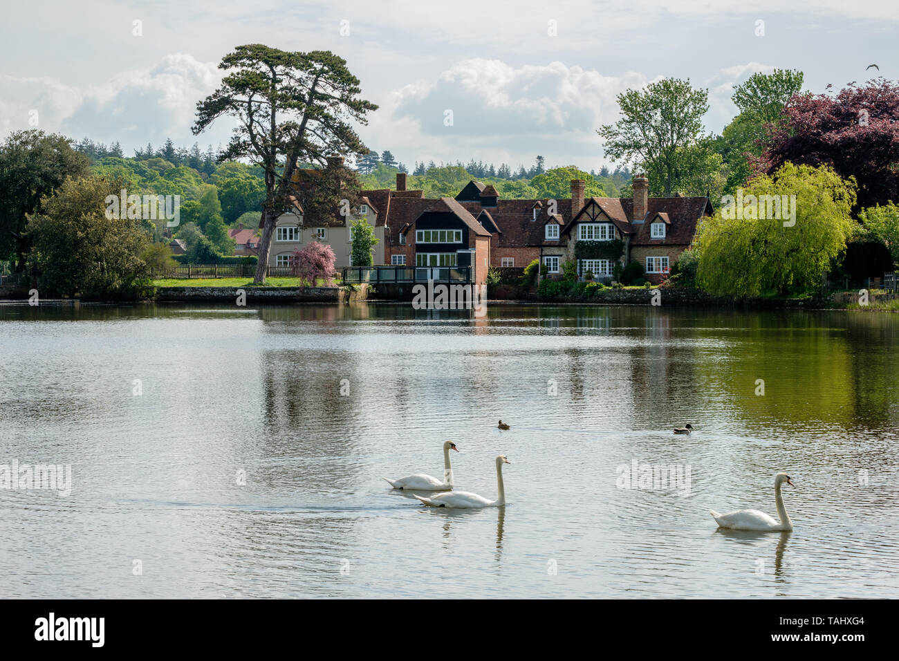 Mill dam hi-res stock photography and images - Alamy