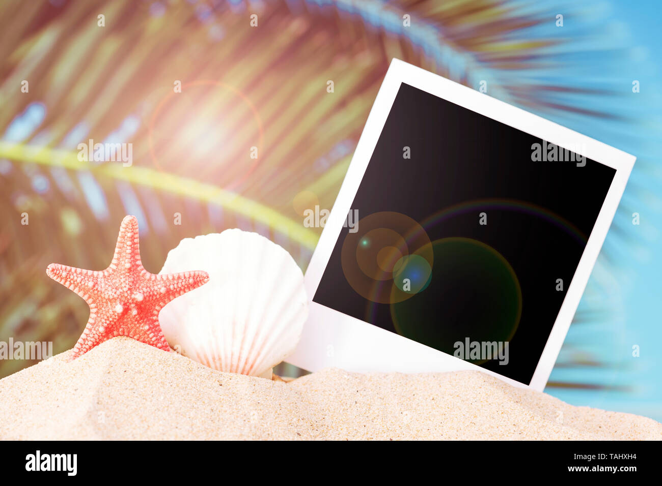 Summer background with a blank vintage photo Stock Photo - Alamy
