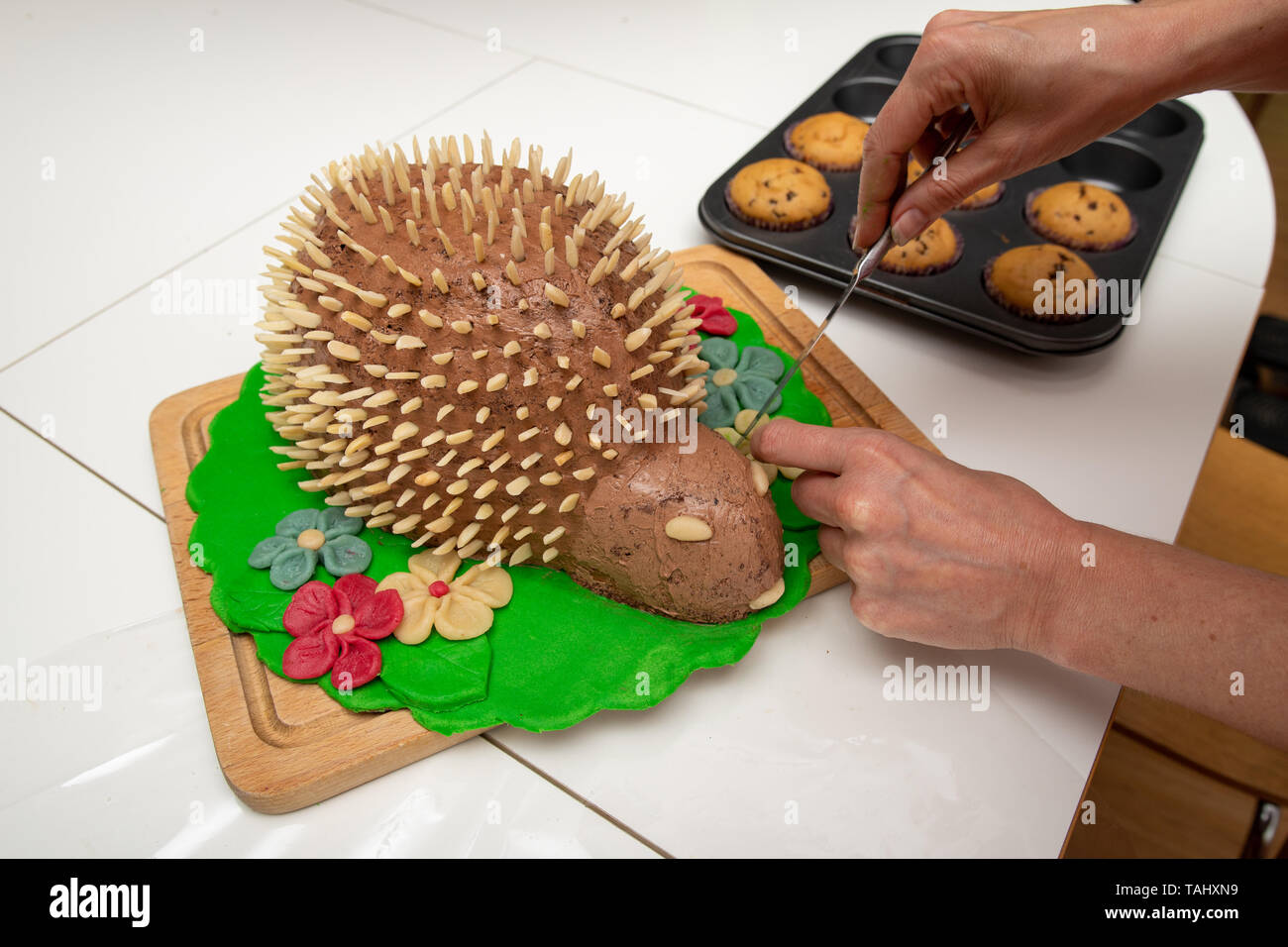 Hedgehog birthday cake hi-res stock photography and images - Alamy