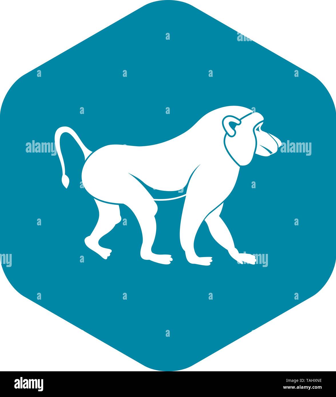 Japanese macaque icon, simple style Stock Vector Image & Art - Alamy