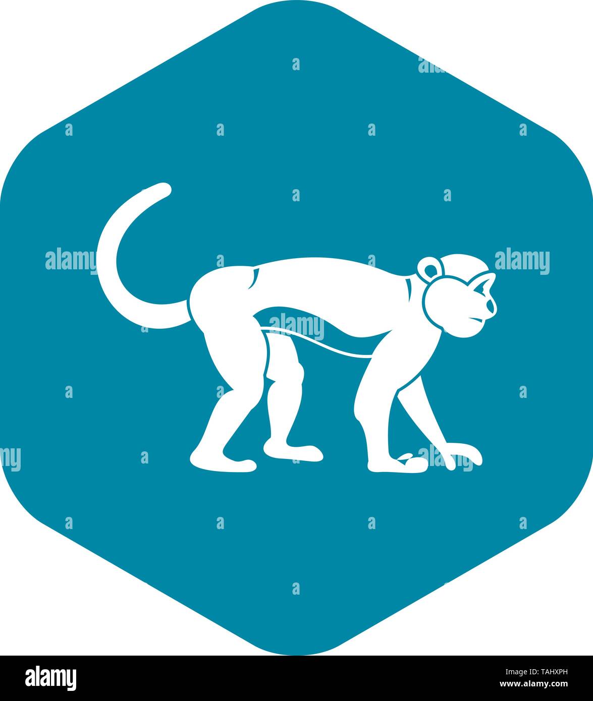 Friendly macaque Stock Vector Images - Alamy