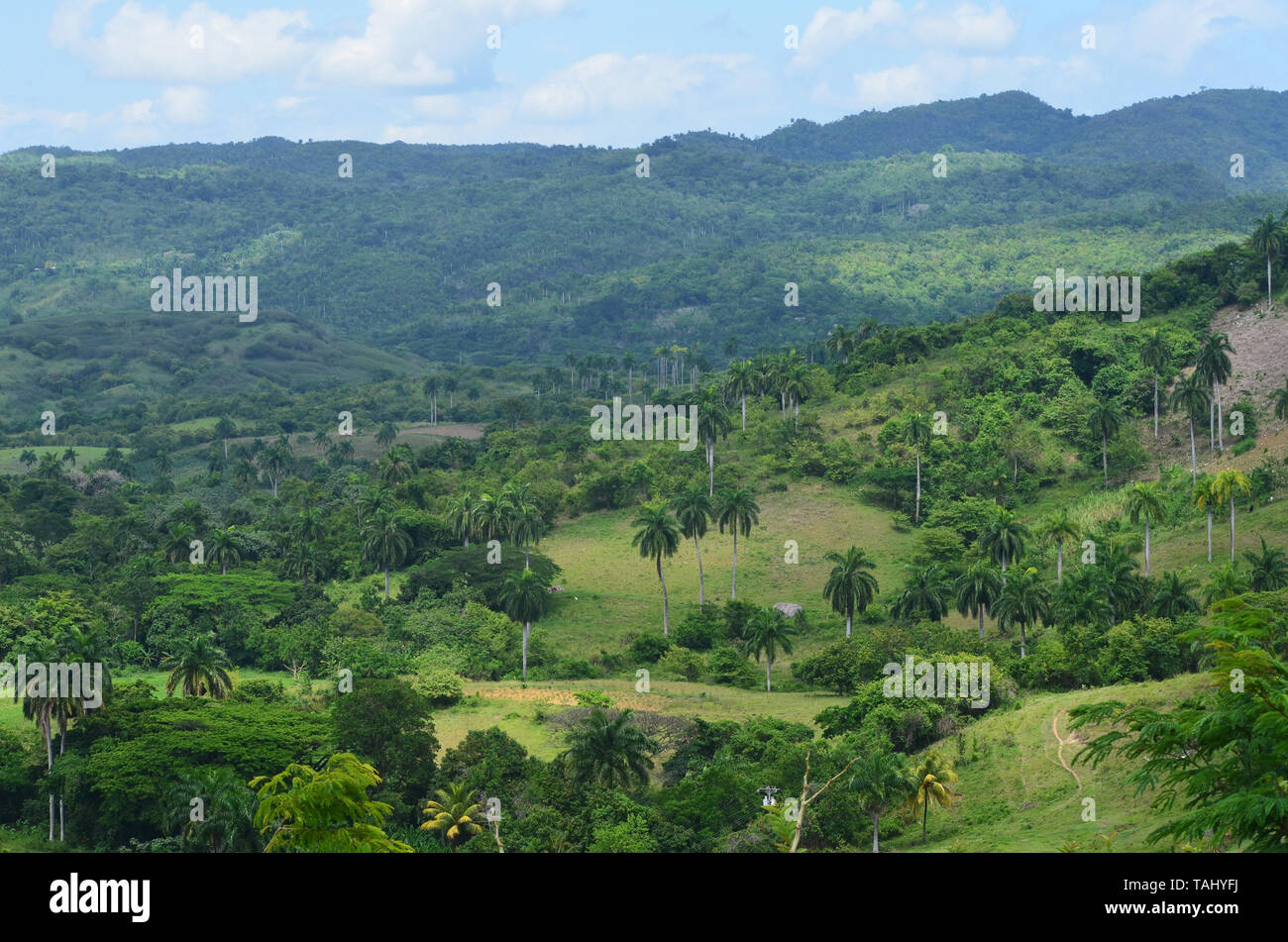 Fields and forested slopes in Guisa municipality (Granma province, Cuba ...