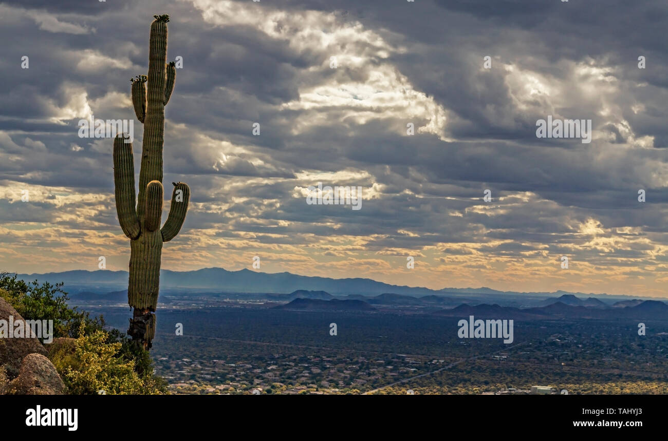 Phoenix valley hi-res stock photography and images - Alamy