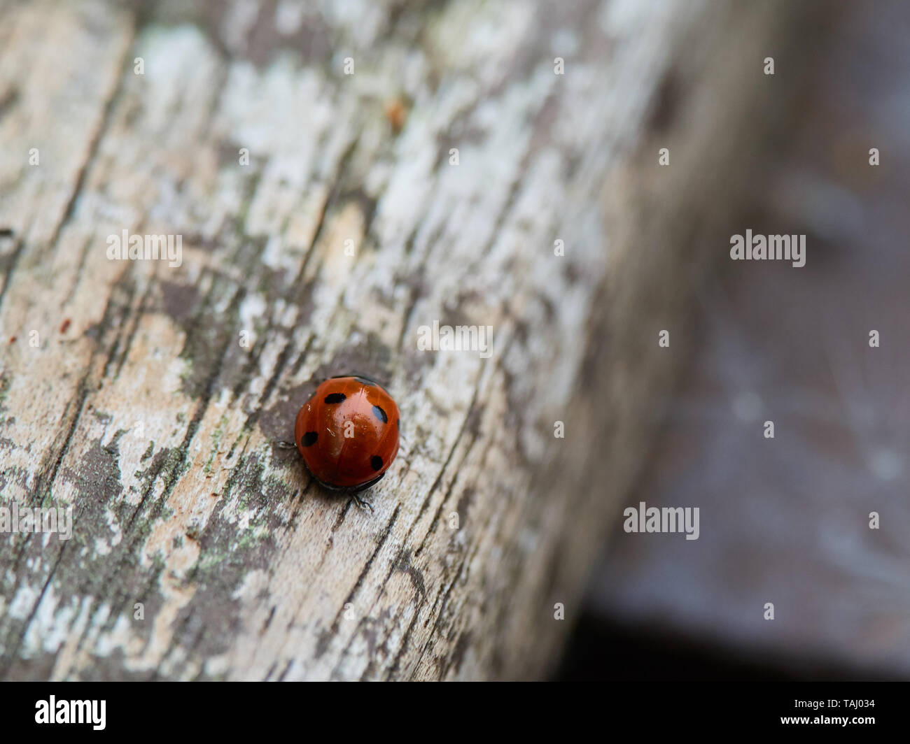 Carlton marsh nature reserve hi-res stock photography and images - Alamy
