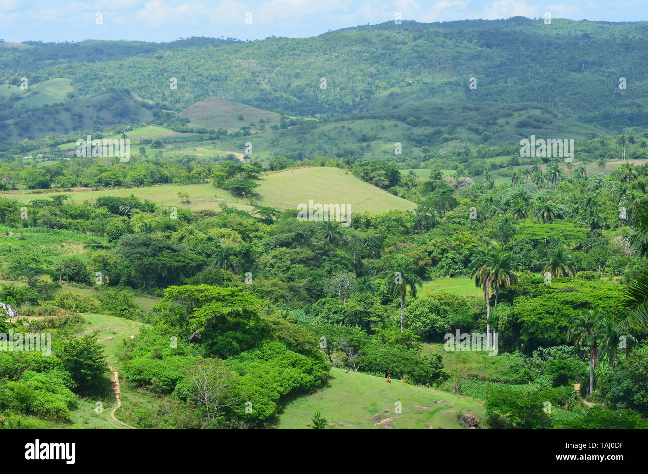 Fields and forested slopes in Guisa municipality (Granma province, Cuba ...