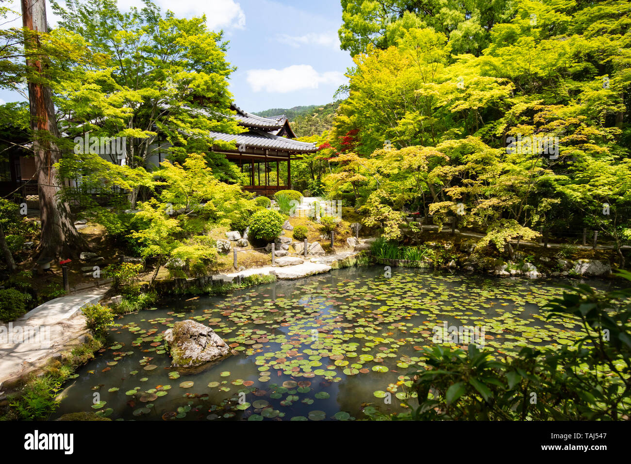 Tenju an temple hi-res stock photography and images - Alamy