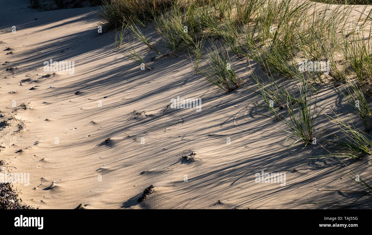 Grass beach dune outdoors hi-res stock photography and images - Alamy
