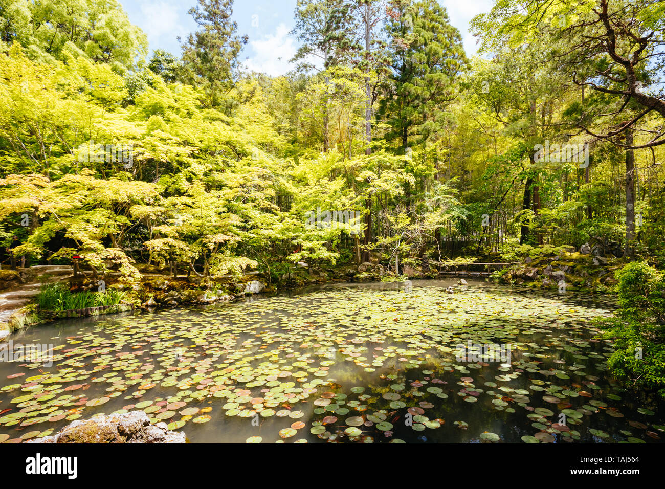 Tenju an temple hi-res stock photography and images - Alamy