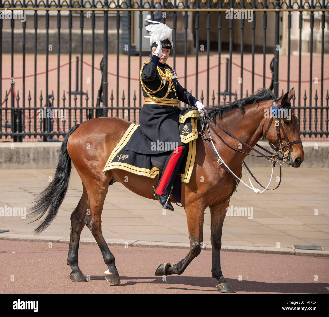 The Mall, London, UK. 25th May 2019. Major General Ben Bathurst CBE ...