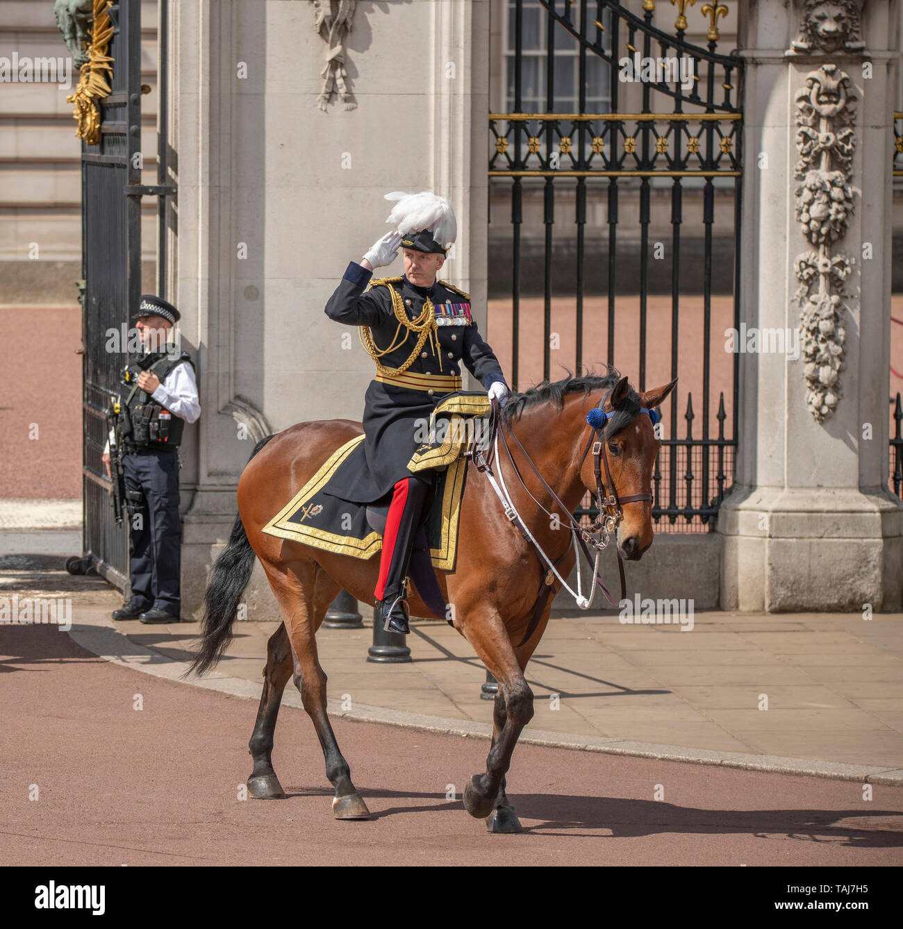Major general commanding the household division hi-res stock ...