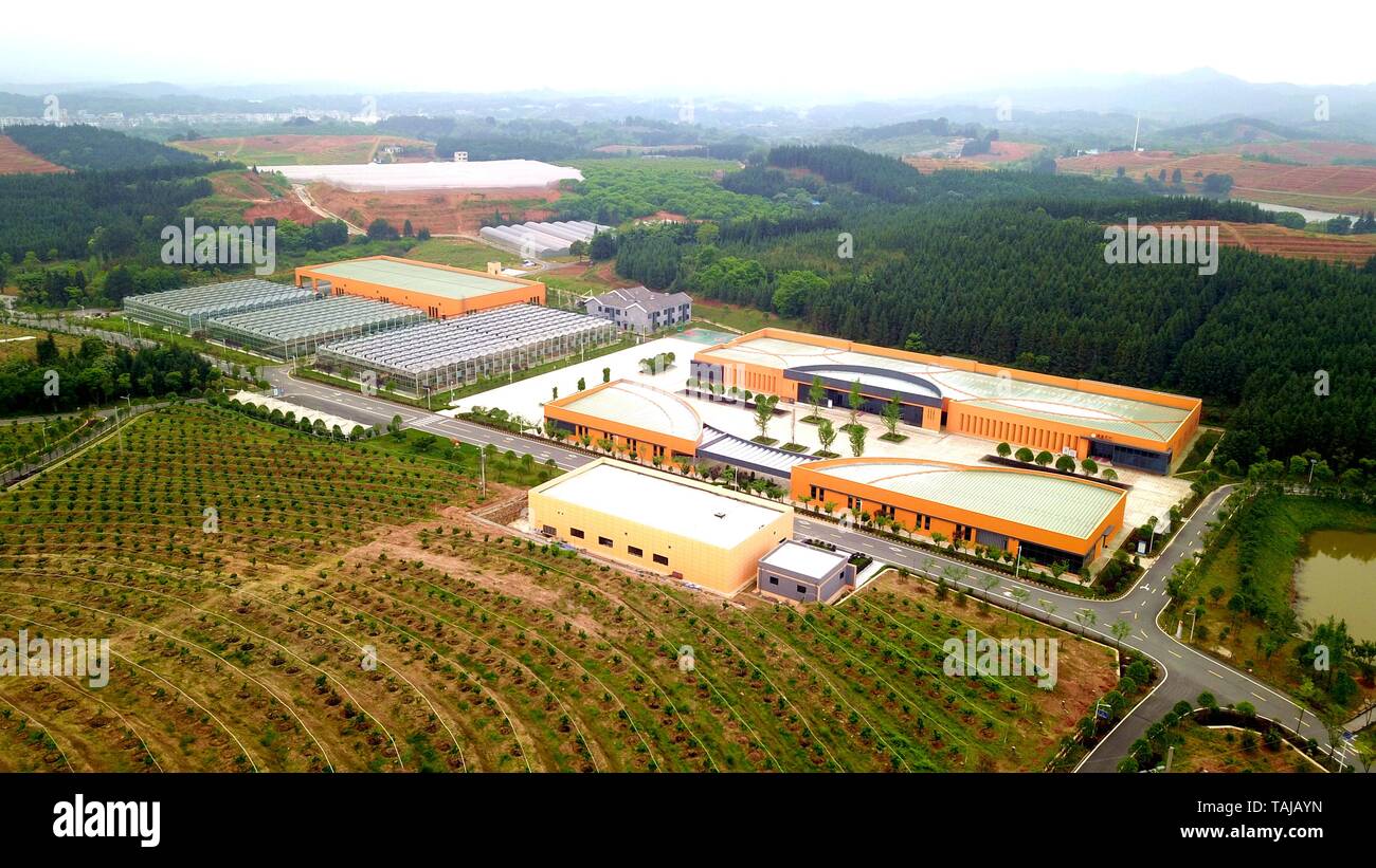 Xinfeng county hi-res stock photography and images - Alamy