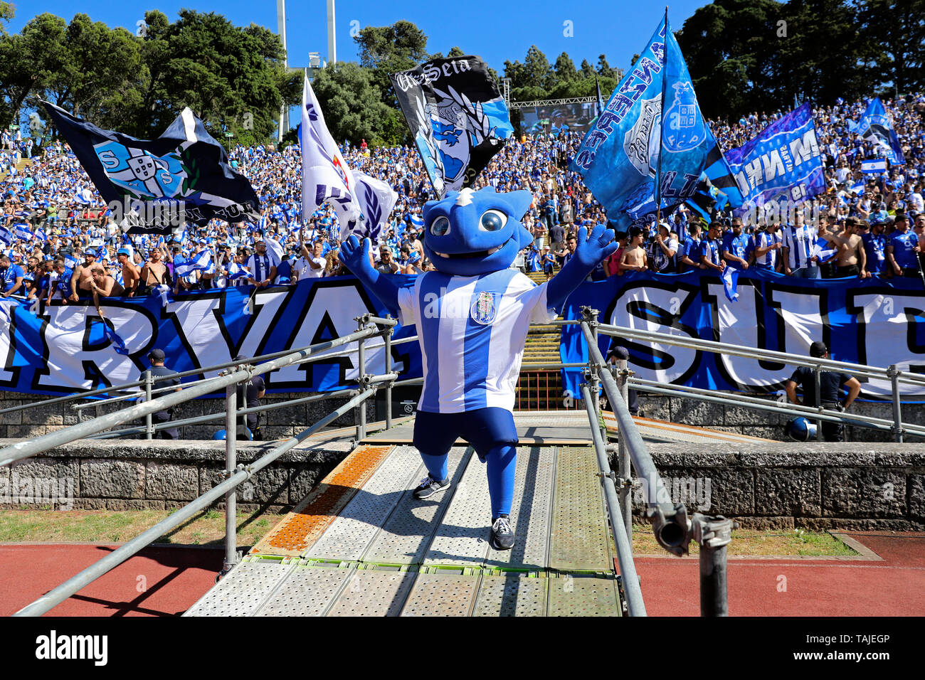 FC Porto Mascot in action during the Cup of Portugal Placard 2018/2019 ...
