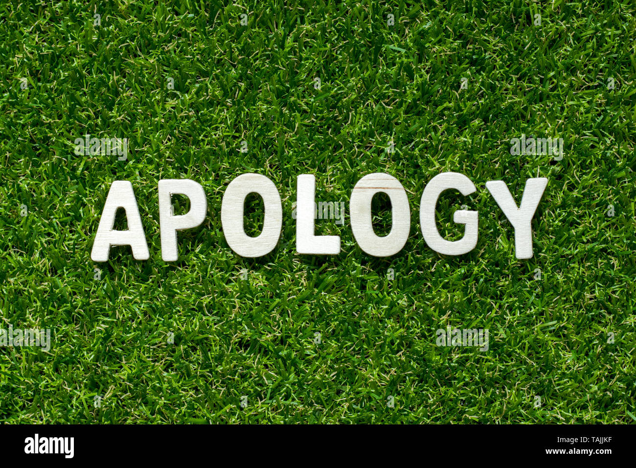 Wood alphabet in word apology on artificial green grass background ...
