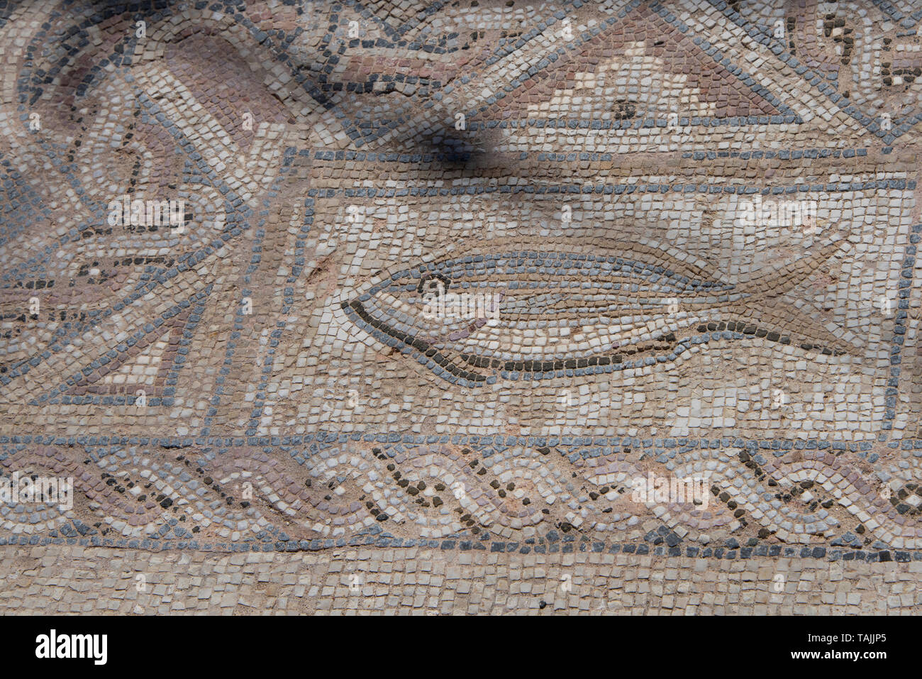 Cyprus, ancient archaeological site of Kourion. Detail of ancient Roman ...