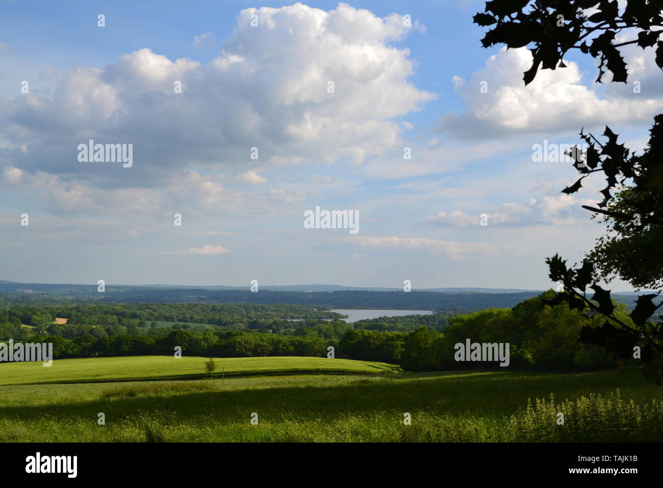 View towards Bough Beech reservoir and the Kent Low Weald from Stubbs ...